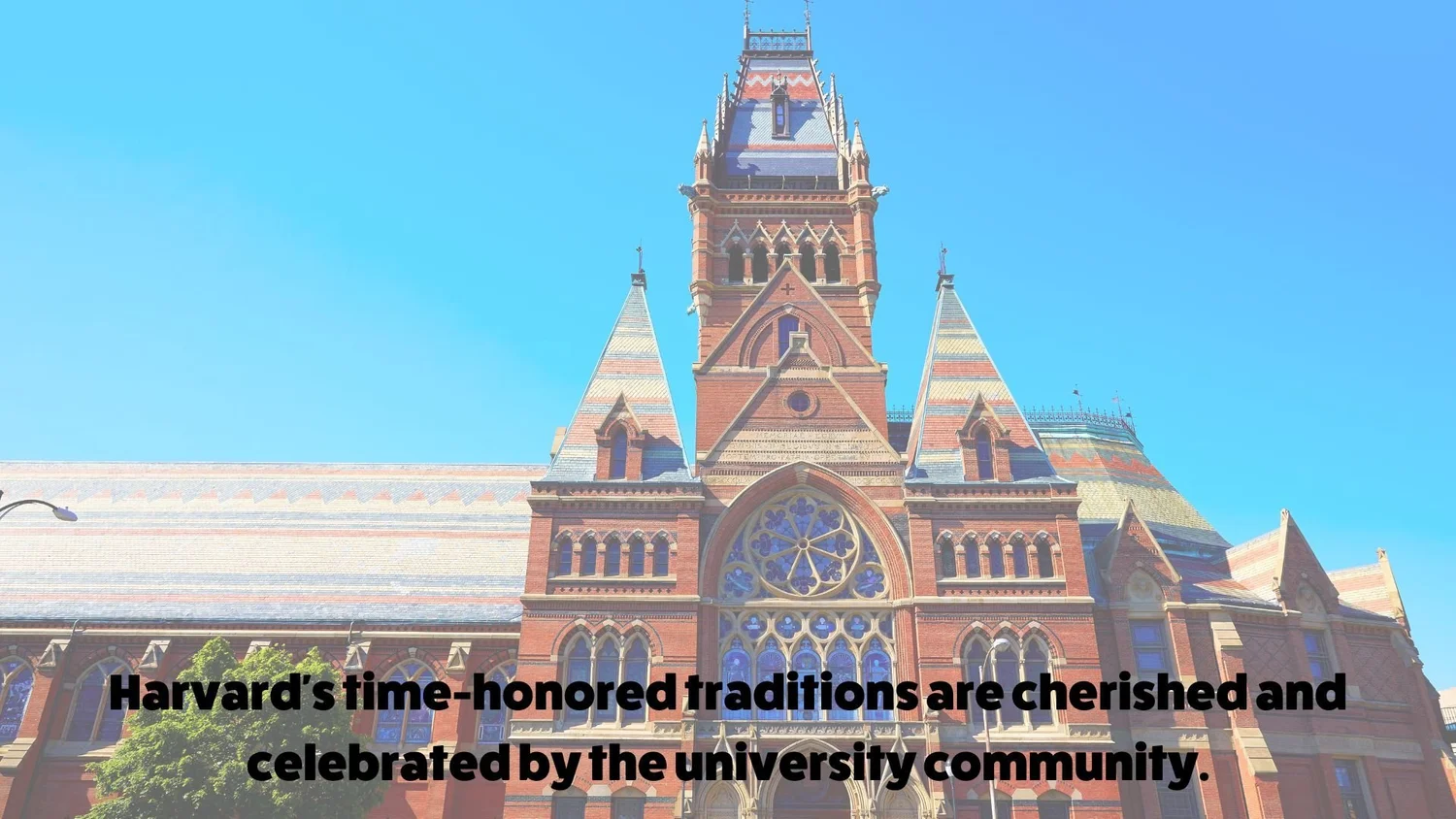 What is Harvard Known For? Behind the Crimson Walls — Inspirit AI