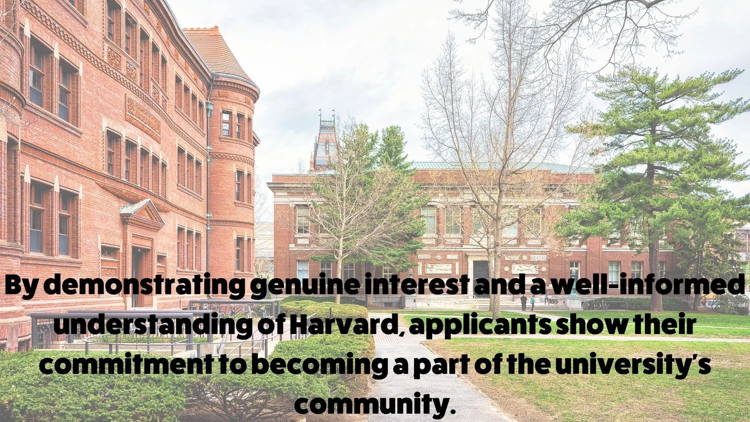 What does Harvard Look For in College Applicants? — Inspirit AI