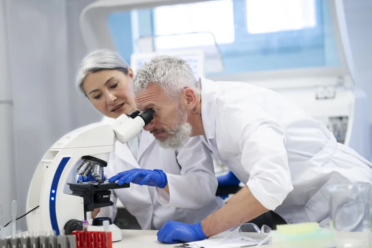 Princeton Laboratory Learning Program: A Pathway to Hands-On STEM ...