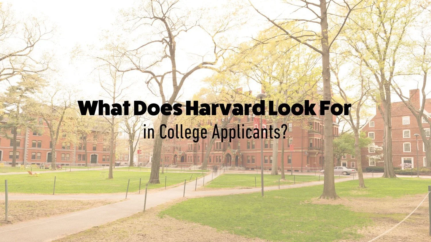 What does Harvard Look For in College Applicants? — Inspirit AI