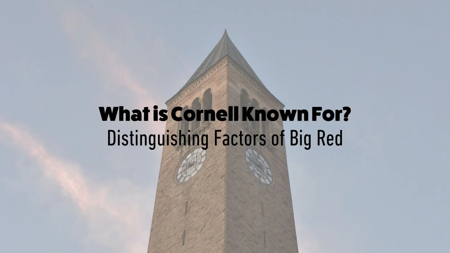 What is Cornell Known For? Distinguishing Factors of Big Red — Inspirit AI