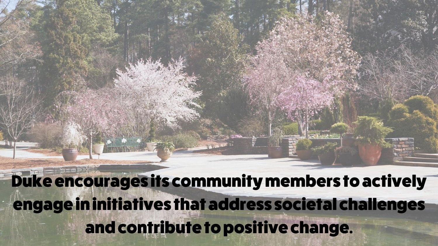 What is Duke Known For? What to Know about the Blue Devils — Inspirit AI