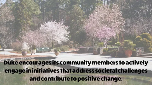 What is Duke Known For? What to Know about the Blue Devils — Inspirit AI