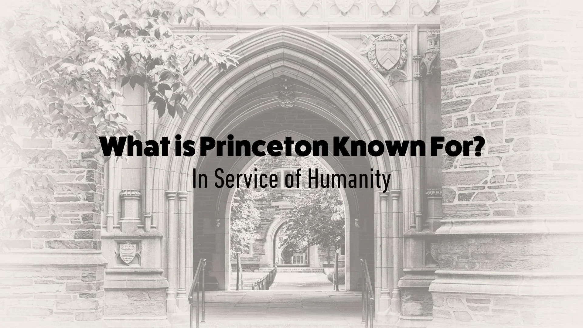 What is Princeton Known For? In Service of Humanity — Inspirit AI