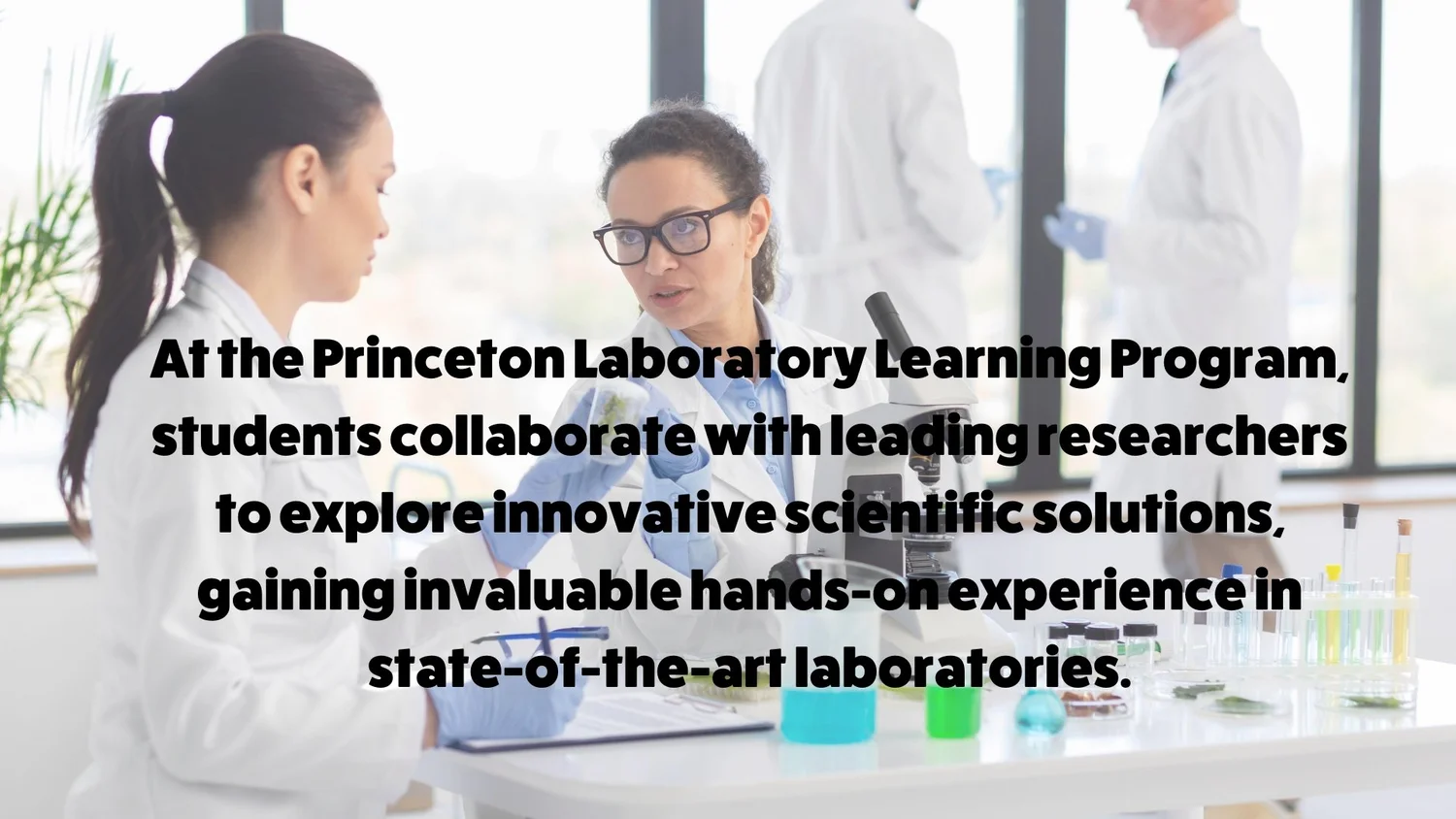 Princeton University Laboratory Learning Program 2025 : Unlock Your ...