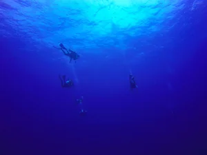 Carthaginian Wreck Diving Maui | Historic Ship & Marine Life — Dive Hawaii
