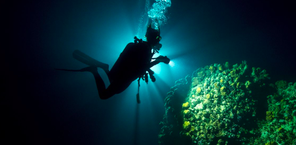 Kona Honu Divers — Dive Hawaii