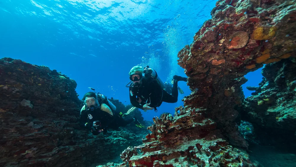 Dive Oahu — Dive Hawaii