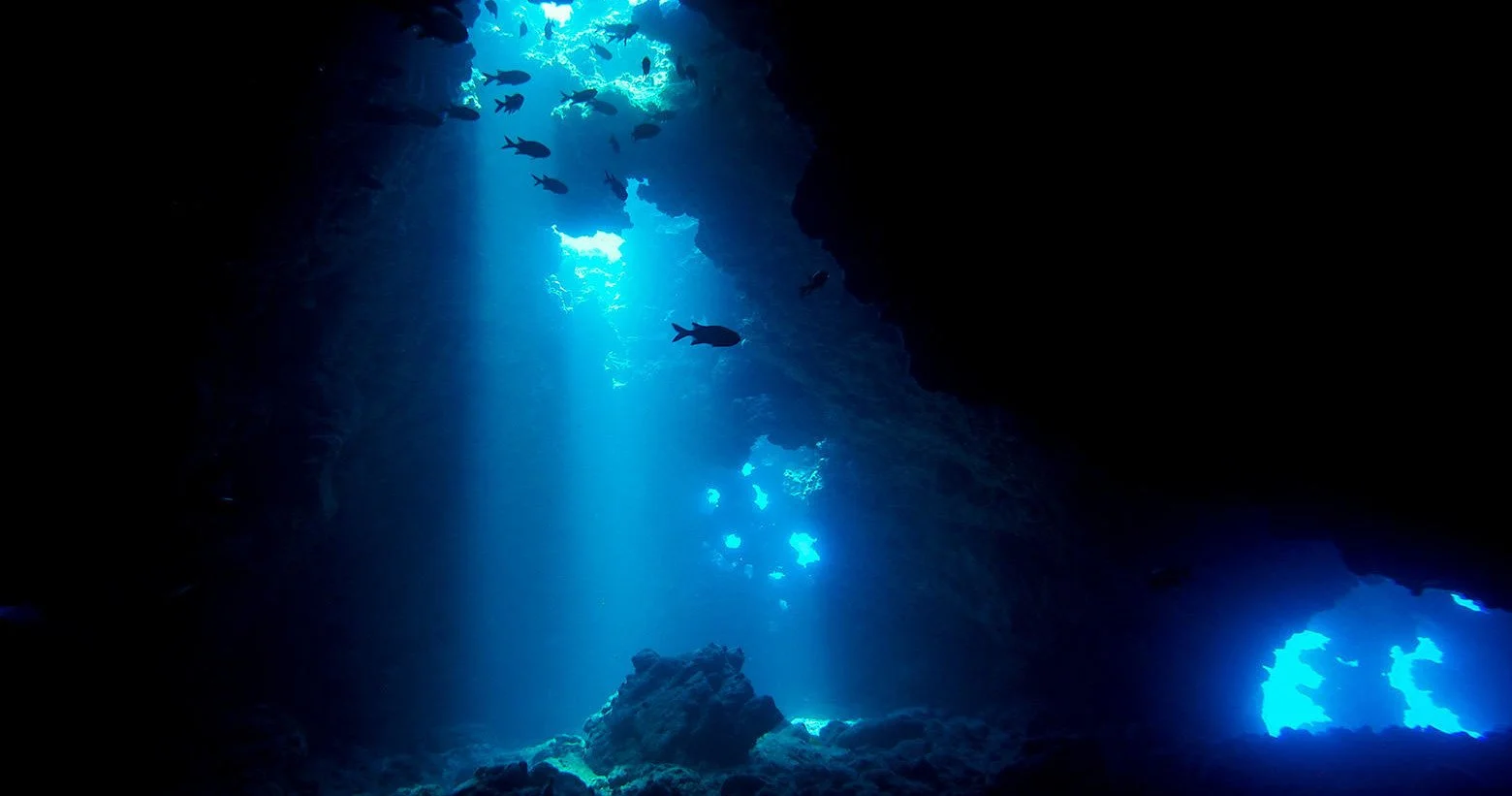 Lanai Cathedrals Diving Maui | Famous Cave Sanctuary — Dive Hawaii