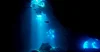 Lanai Cathedrals Diving Maui | Famous Cave Sanctuary — Dive Hawaii