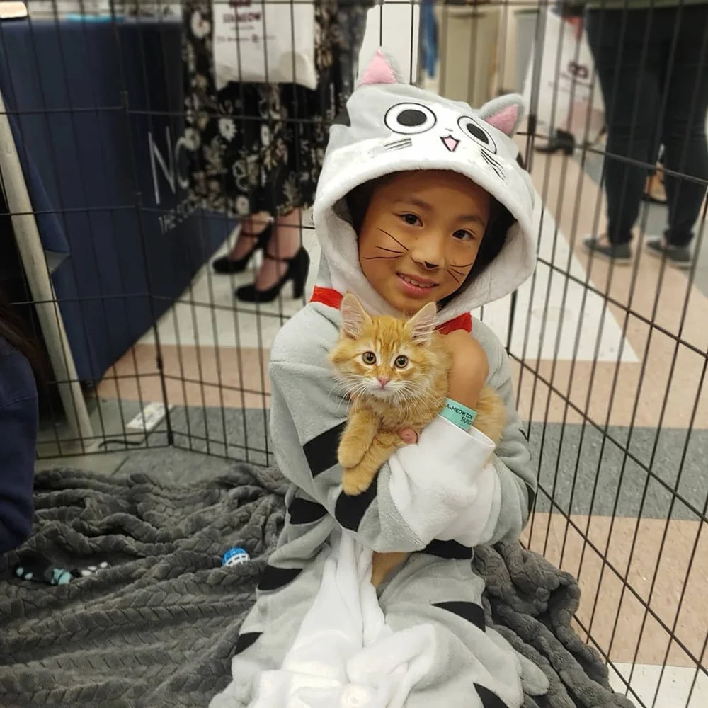 PLAY — Sea-Meow Convention