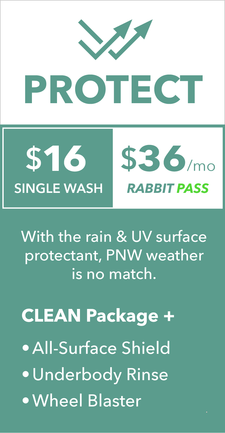 EXPRESS WASH OPTIONS | Get Your Car Shiney & Clean Today — Wet Rabbit ...