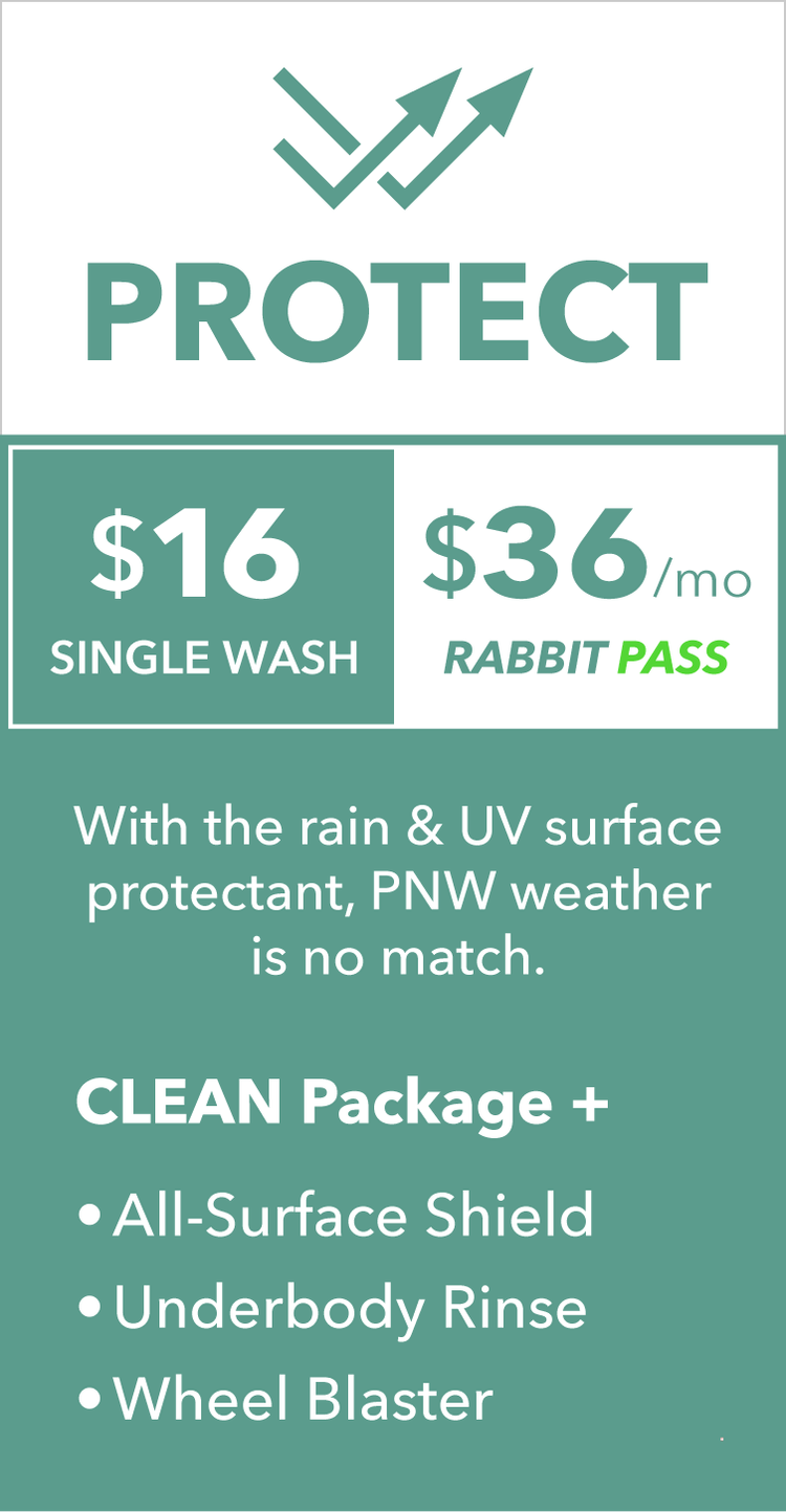 EXPRESS WASH OPTIONS | Get Your Car Shiney & Clean Today — Wet Rabbit ...