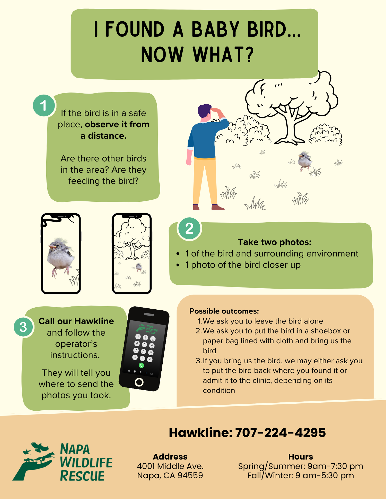 Found a bird? — Napa Wildlife Rescue