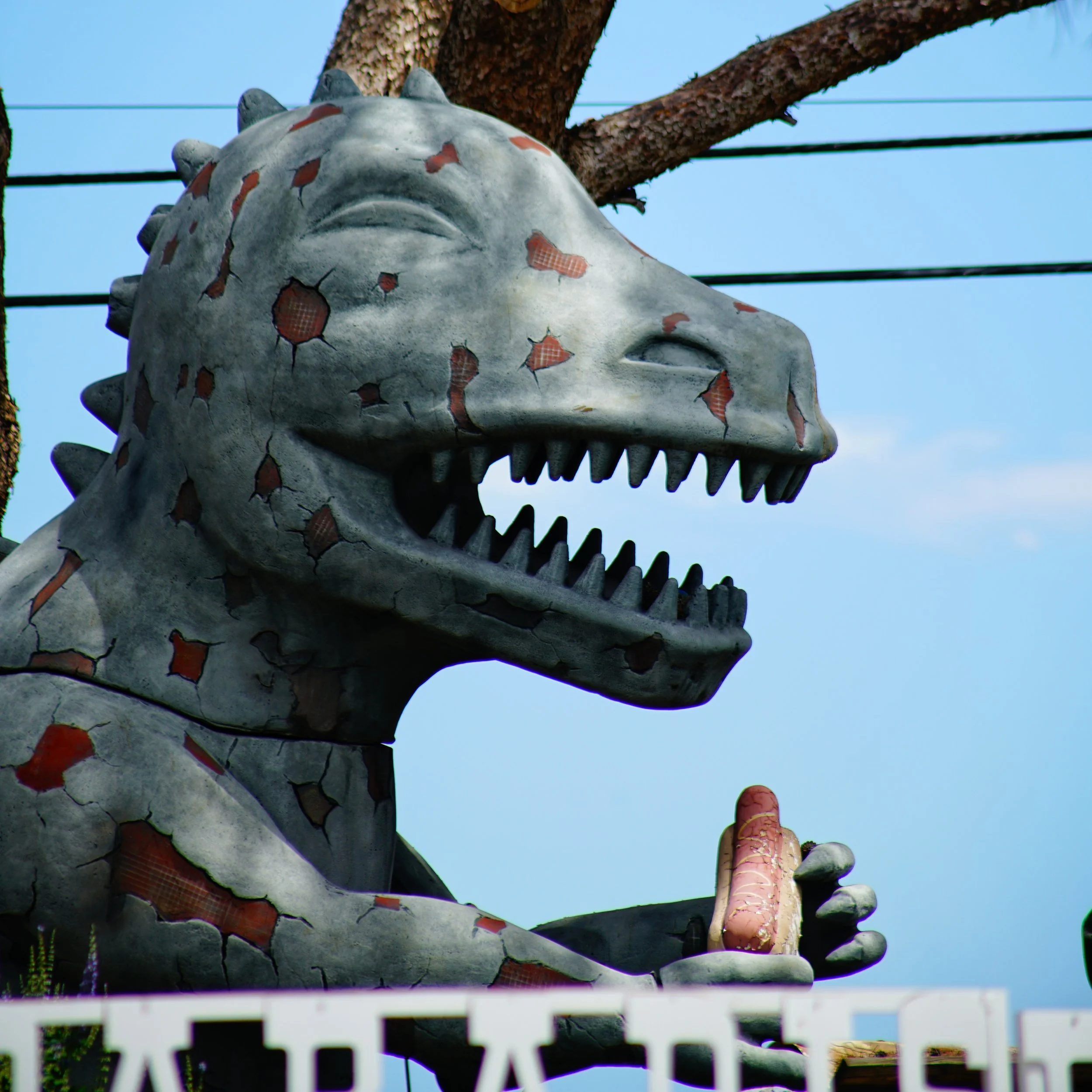 For Funsies — Devoid Magazine