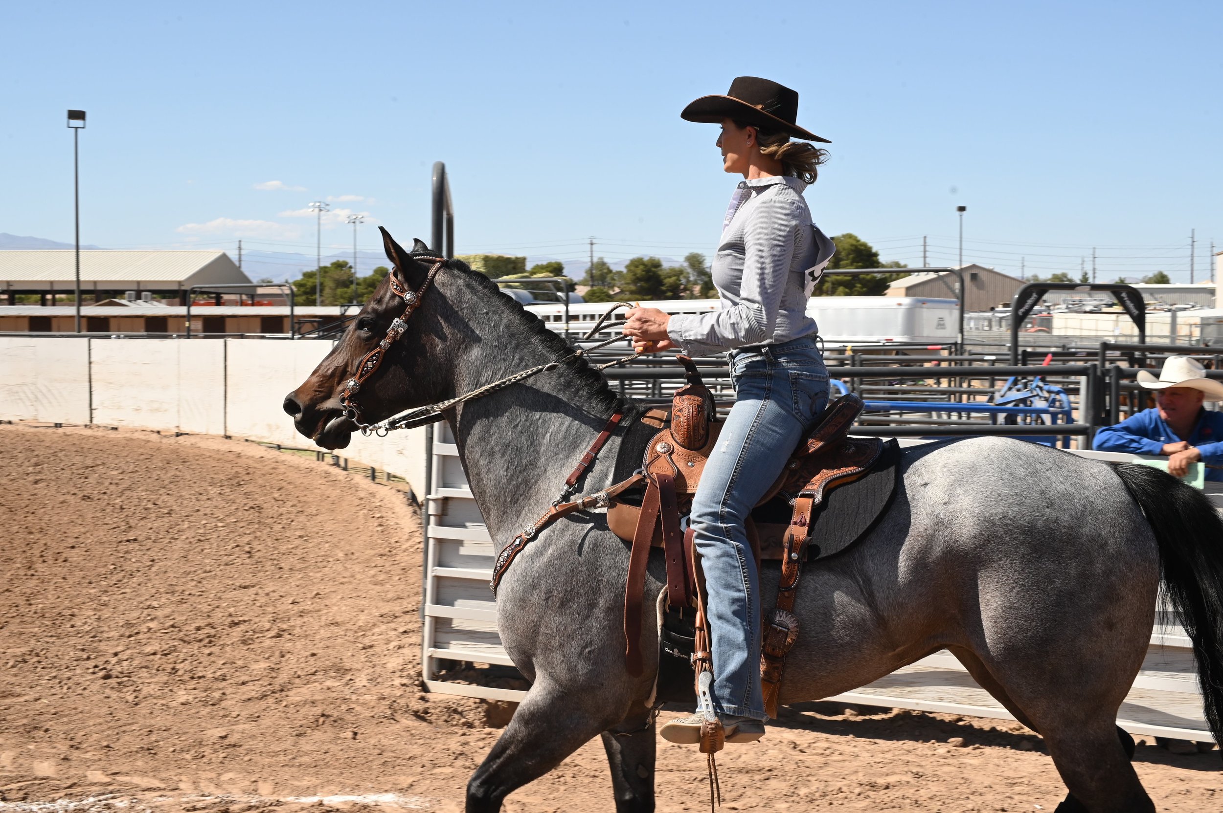 Save a Horse, Ride the Rainbow: BigHorn Rodeo Returns Bareback — Devoid ...