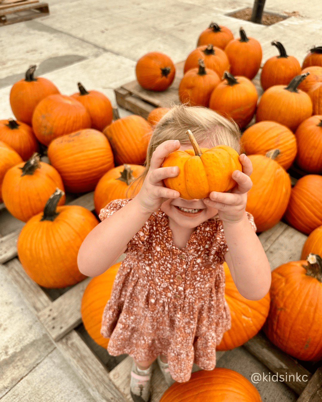 Fall — Blog — Kids In KC