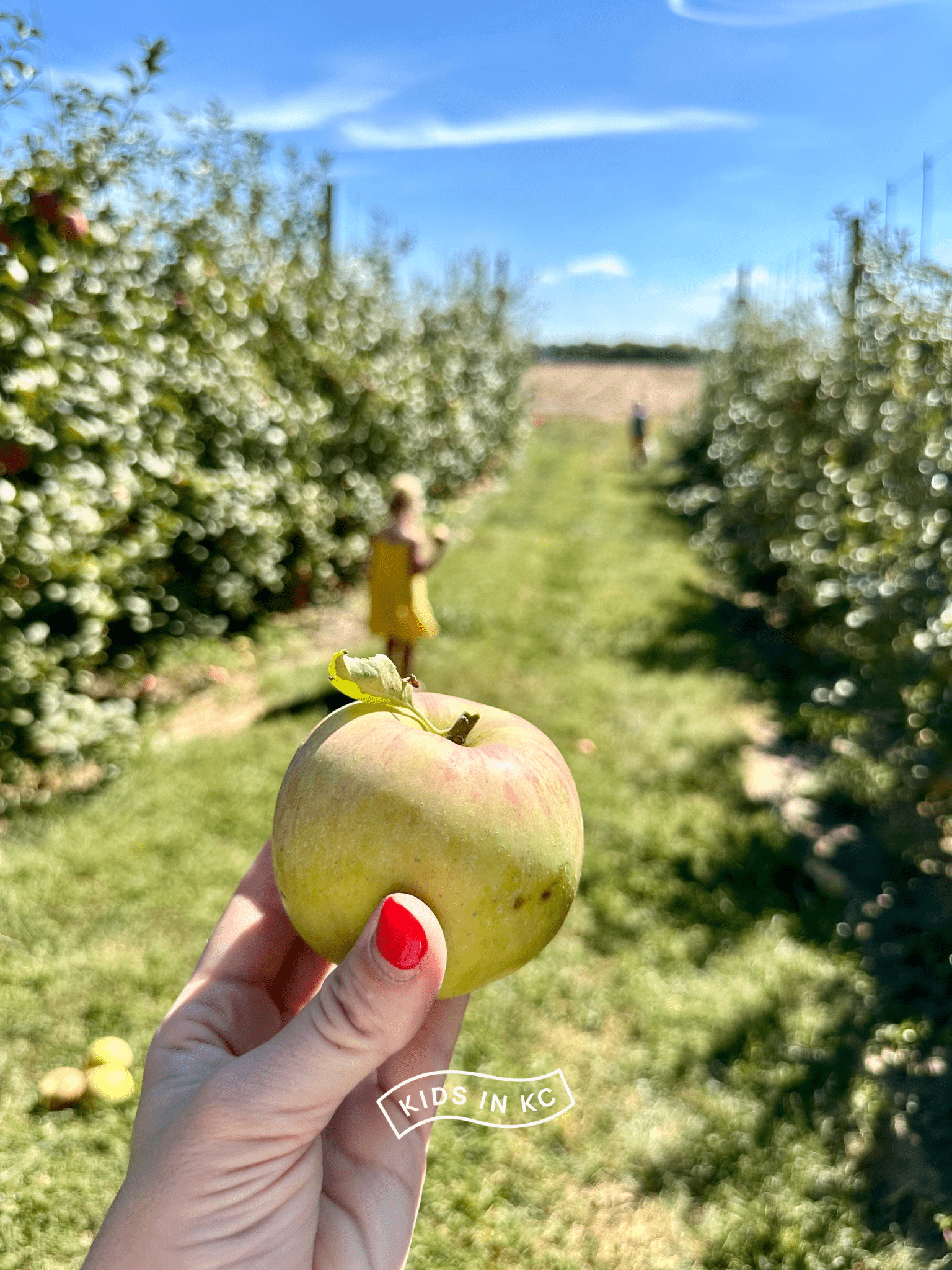 Apple Picking Near Kansas City — Kids In KC