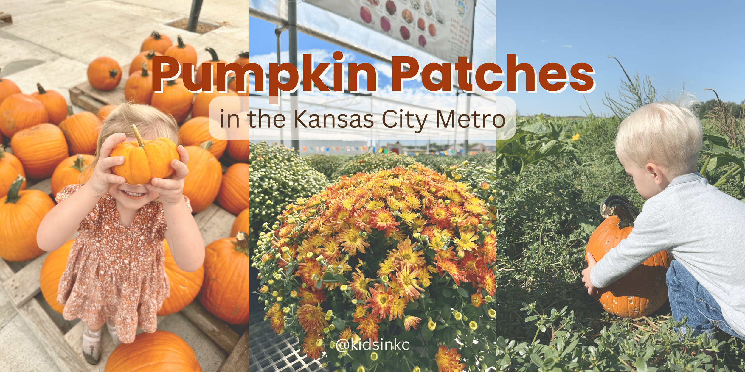 Pumpkin Patches Near Kansas City - Missouri and Kansas — Kids In KC