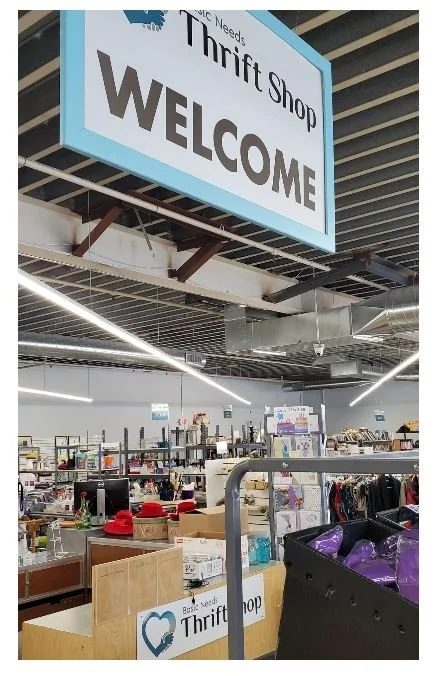 Services 2 — Basic Needs Inc.