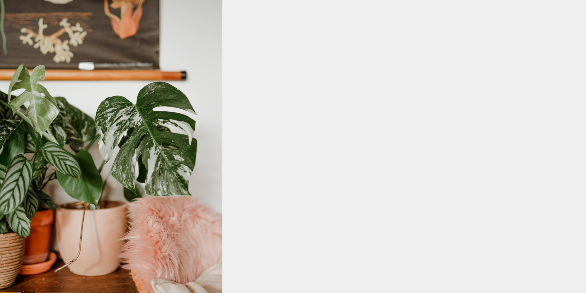 Veronica Abram | *West Hollywood Hair Colorist & Balayage Specialist