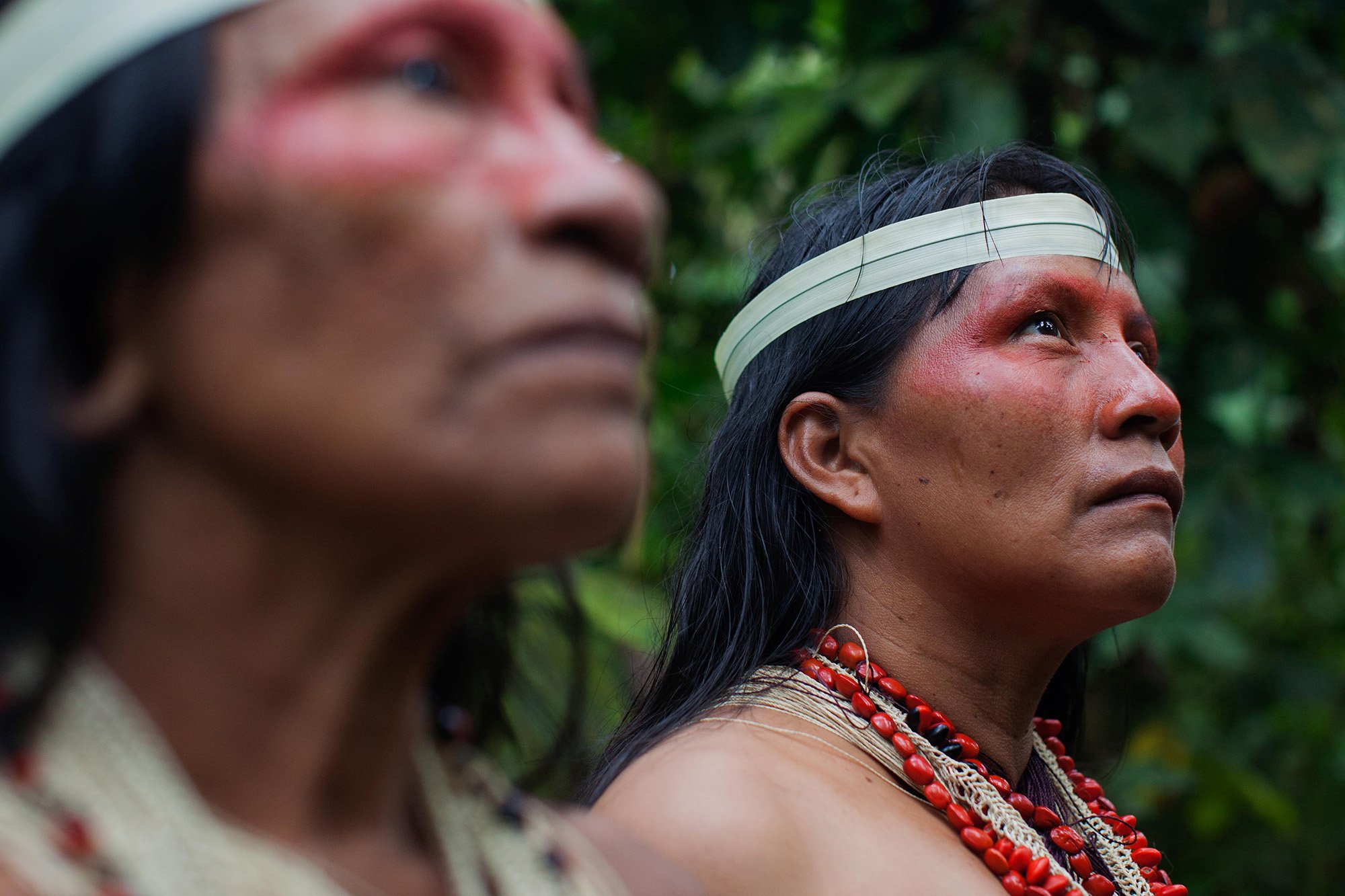 About — Environmental Defenders Collaborative