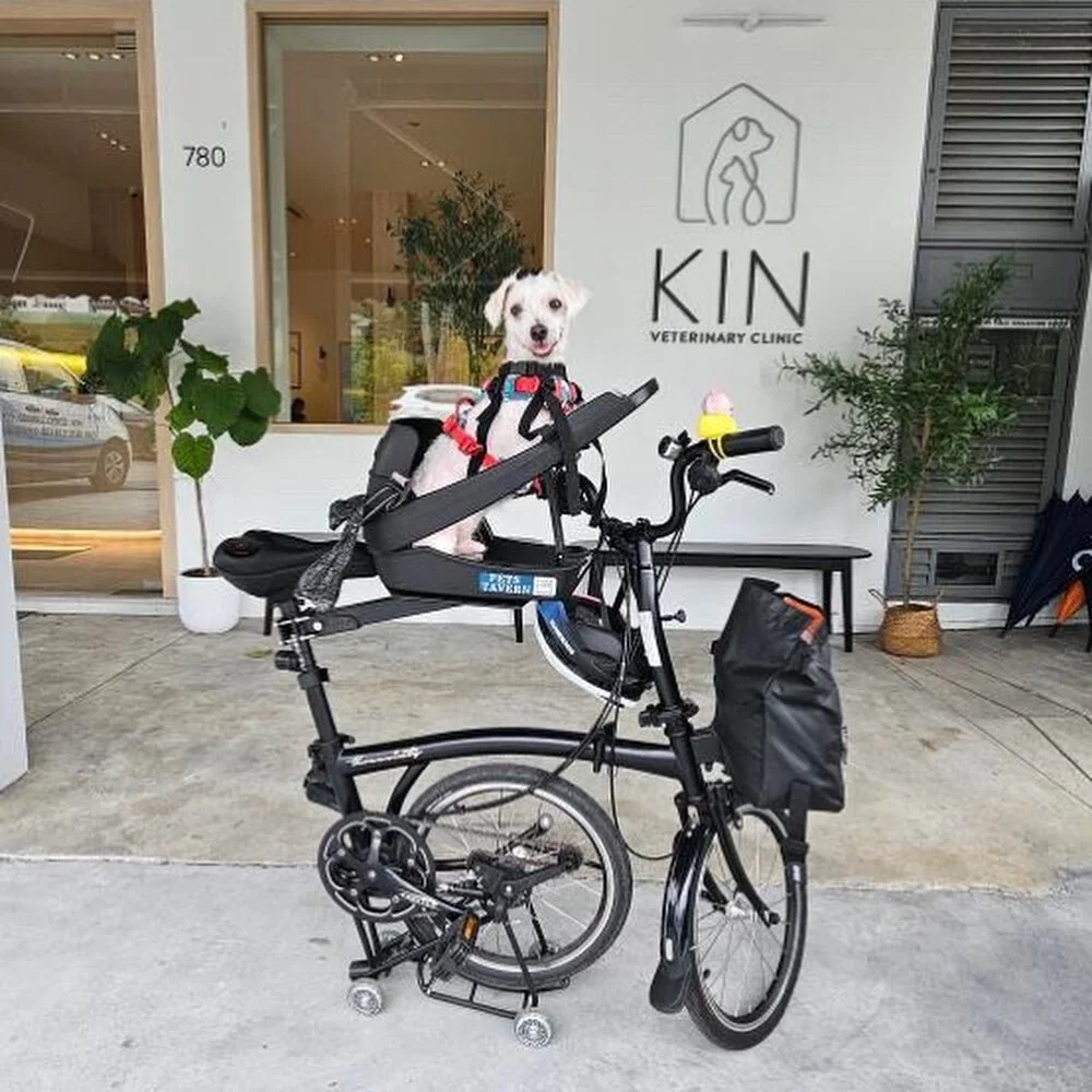 KIN Vet – Dr Geoffrey Yeo | Dr Chong Xian Jie | Dr Alice Liaw