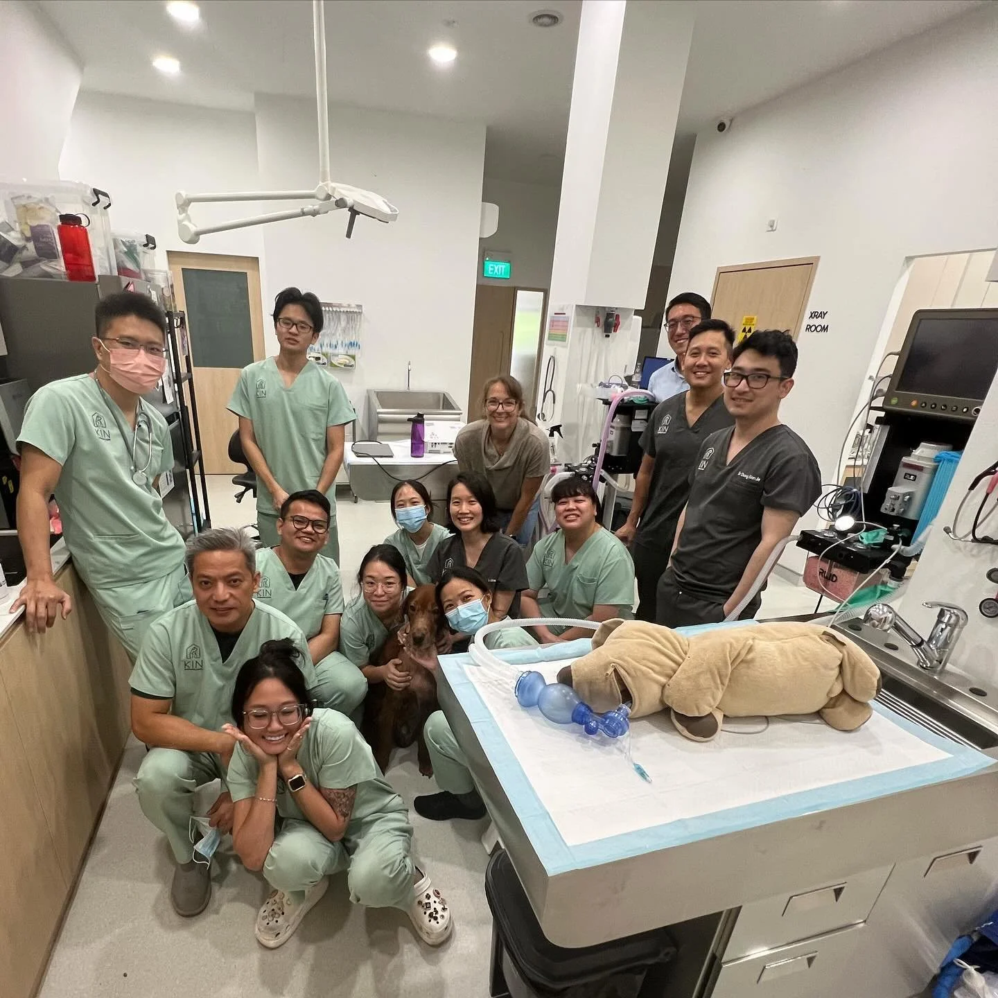 KIN Vet Clinic Singapore – Vet in Bukit Panjang (Along Bukit Timah Road)