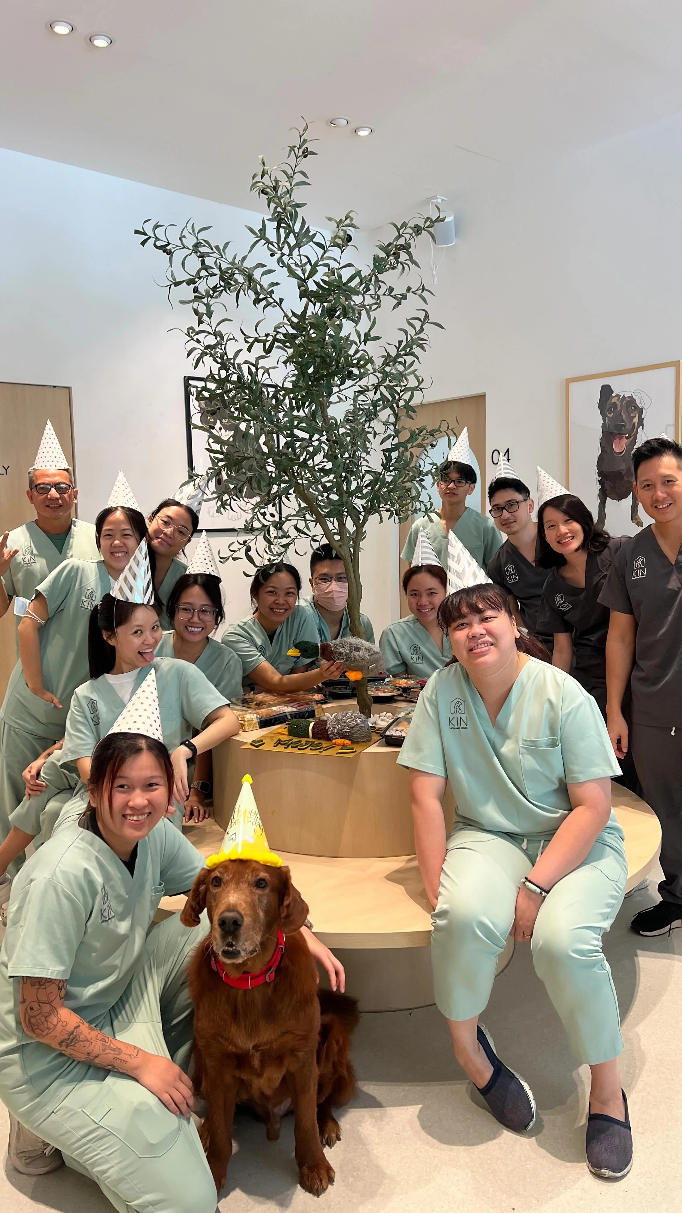 KIN Vet Clinic Singapore – Vet in Bukit Panjang (Along Bukit Timah Road)