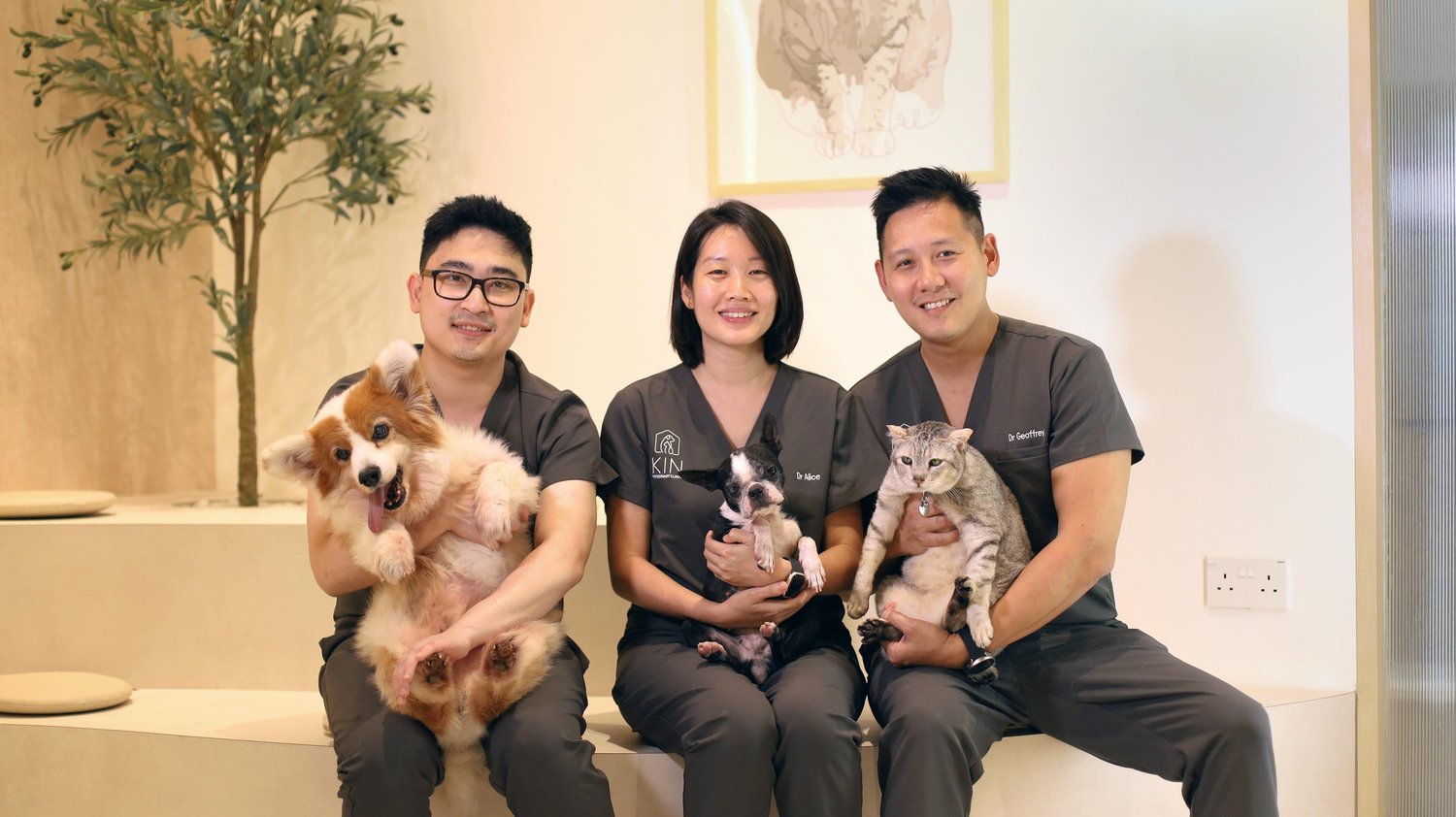 KIN Vet Clinic Singapore – Vet in Bukit Panjang (Along Bukit Timah Road)