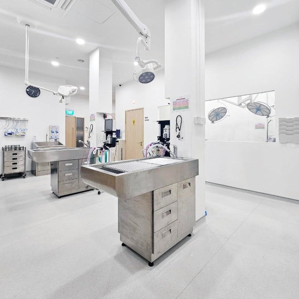 KIN Vet Clinic Singapore – Vet in Bukit Panjang (Along Bukit Timah Road)