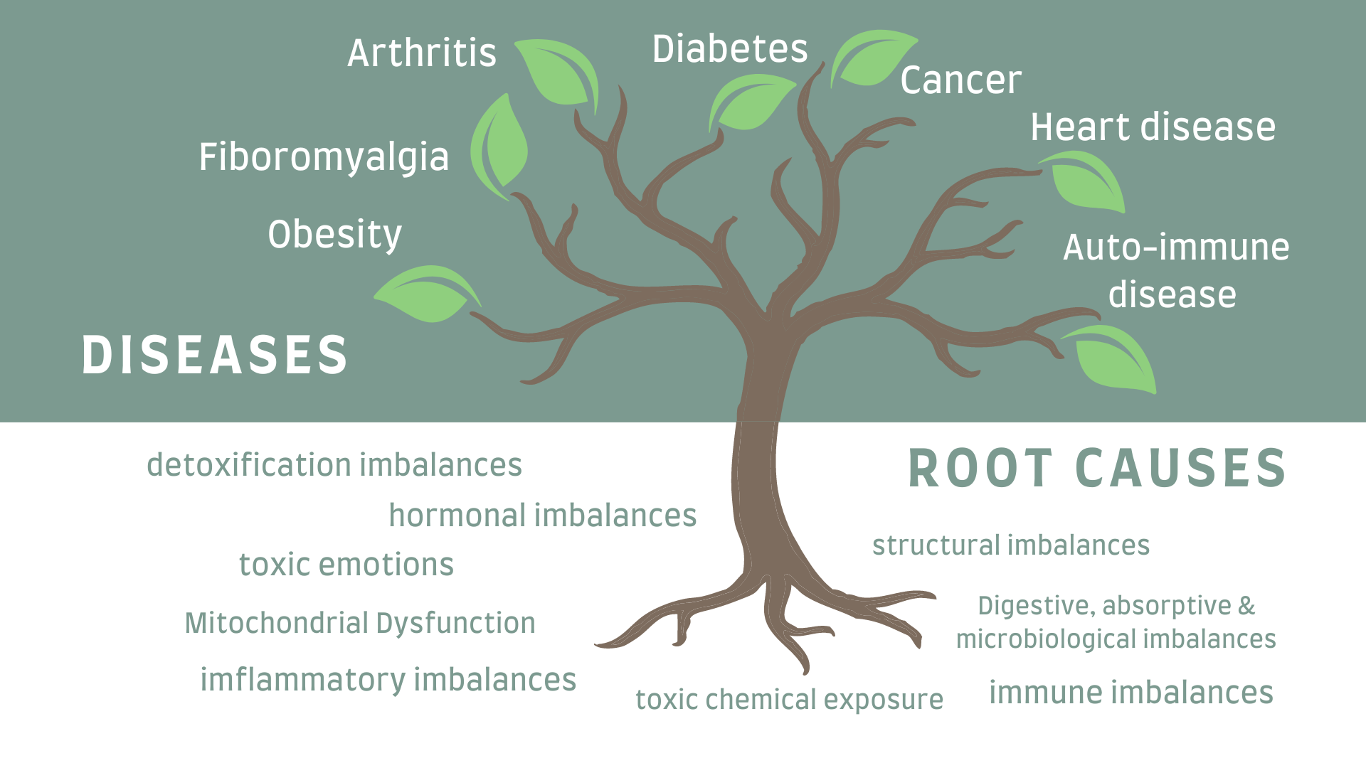 Adaptive Health Services