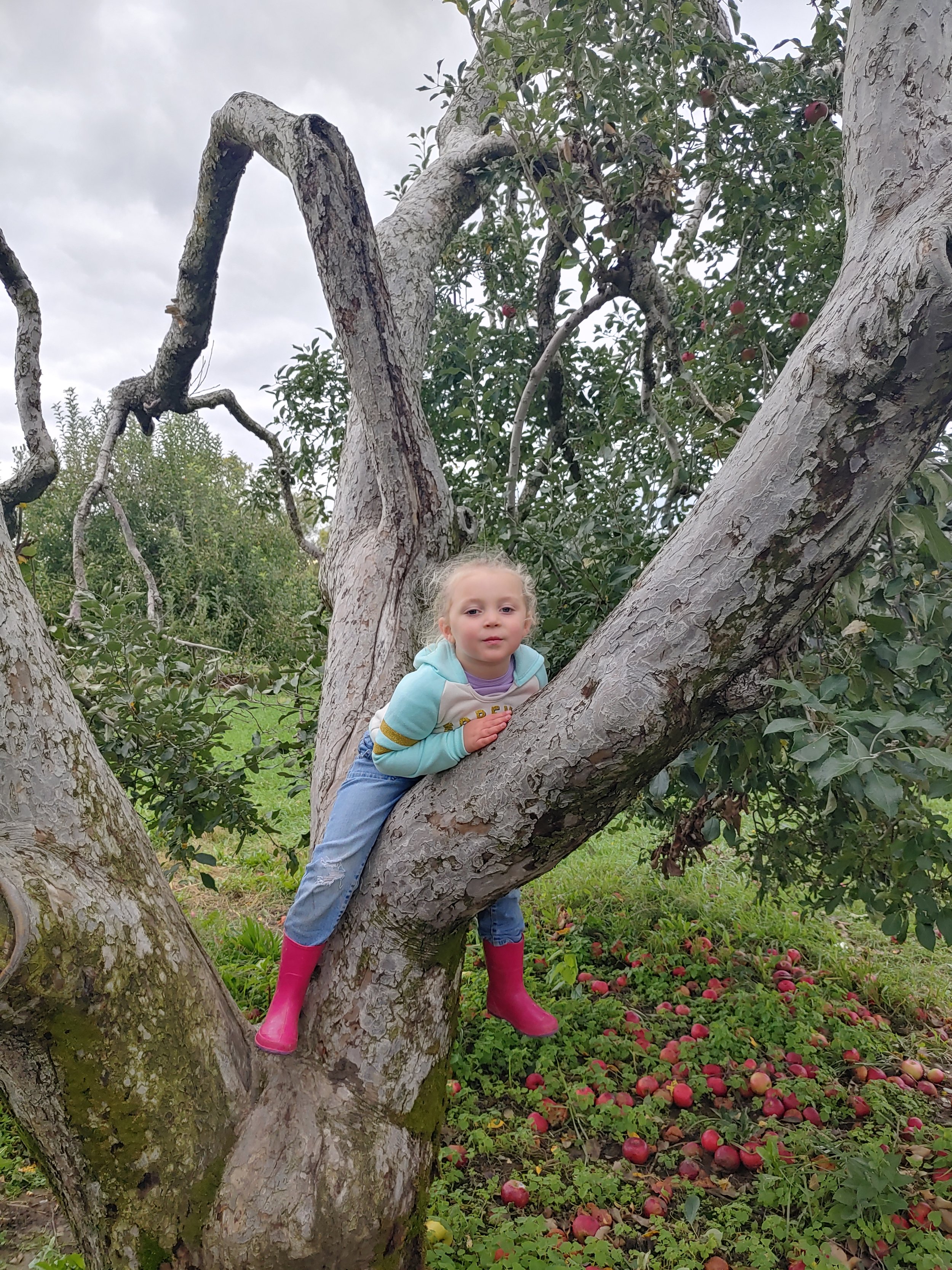 A. Barrett Academy LLC