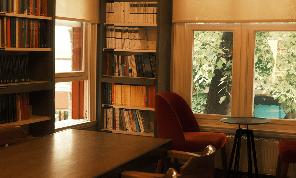 Media — The Open Therapy Institute