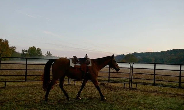 About Us — LLL Ranch | Horse Boarding Near Franklin TN
