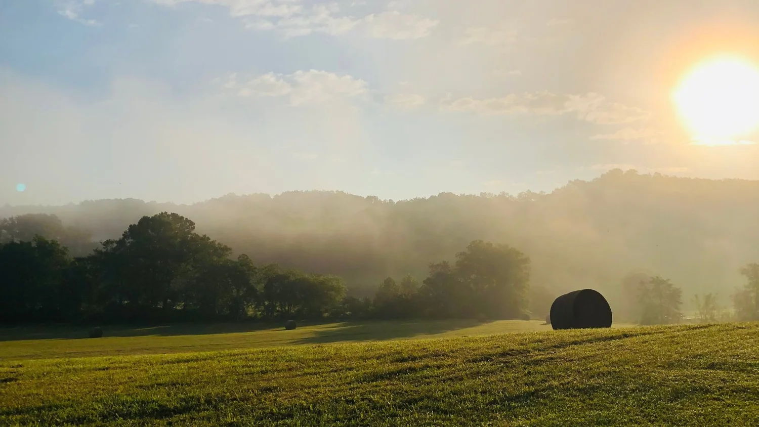 Facility Photos — LLL Ranch | Horse Boarding Near Franklin TN