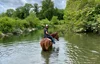About Us — LLL Ranch | Horse Boarding Near Franklin TN