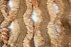 Sarah Simonds - Fibre Artist