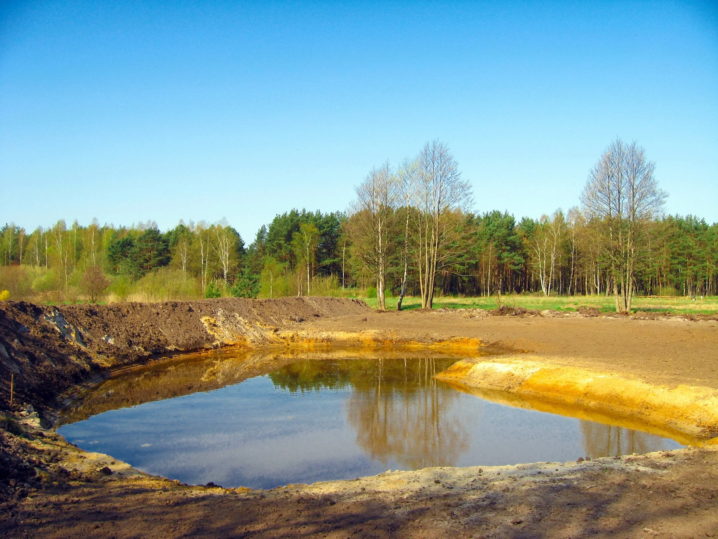Pond Management Services — Morris Water Works