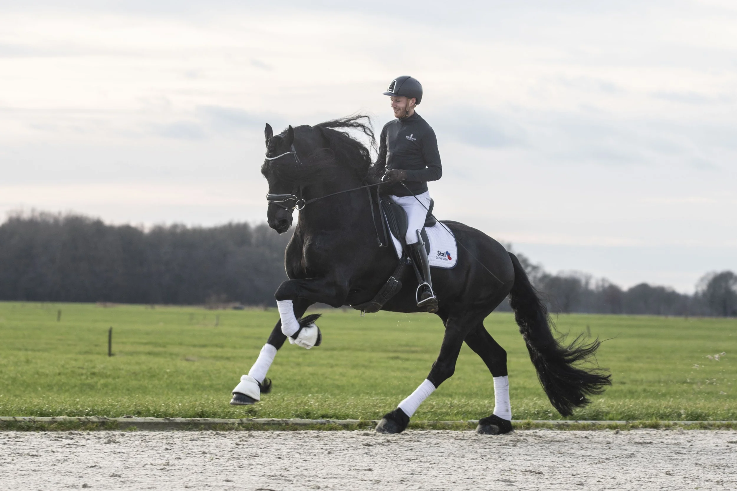 Meet Ulbran 502 and All Of Our Friesians — Cherith Brook Friesians