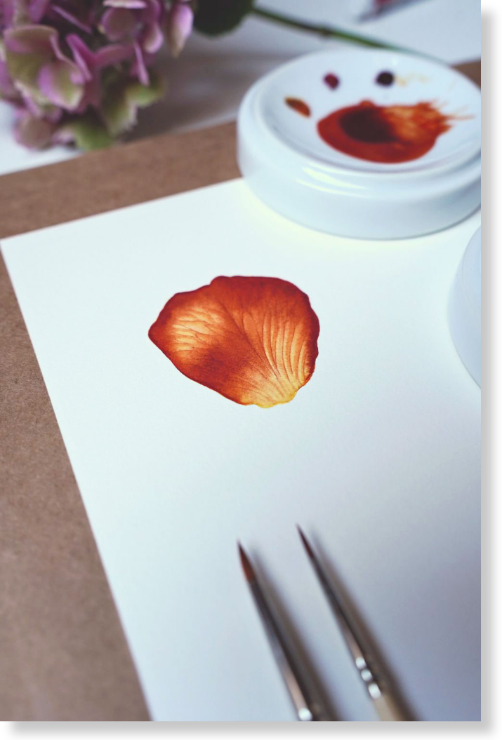 Free Watercolour Rose Petal Tutorial for Beginners