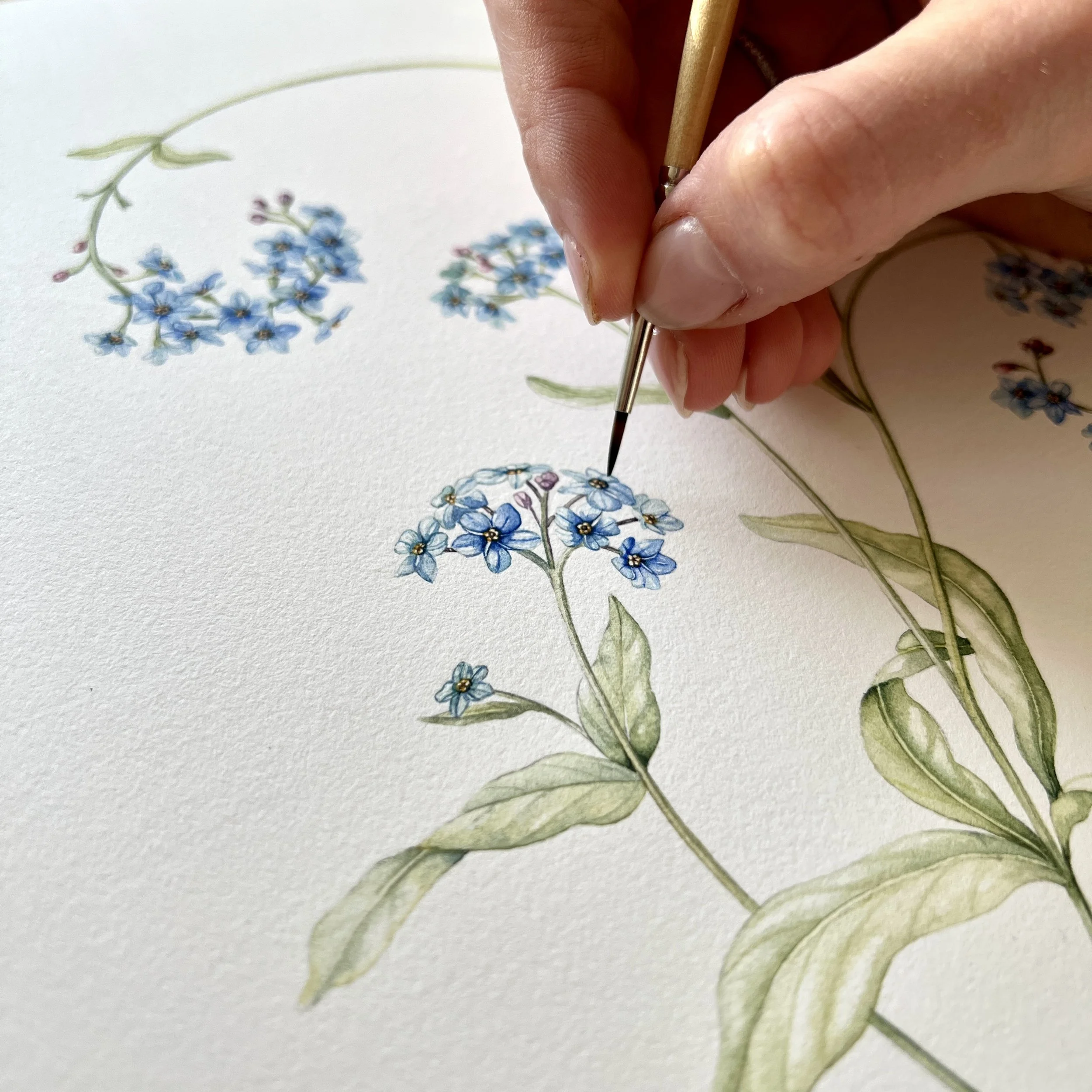 HELEN COUSINS BOTANICS