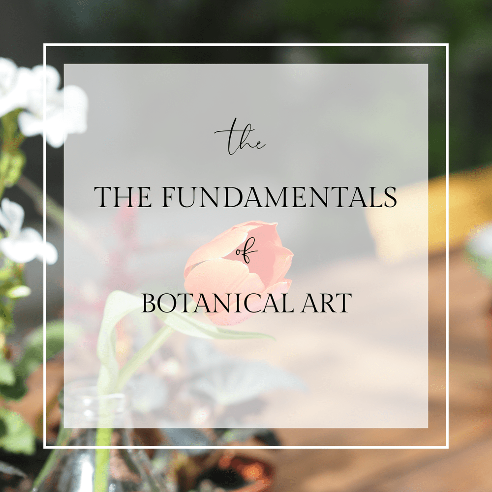 workshops — HELEN COUSINS BOTANICS