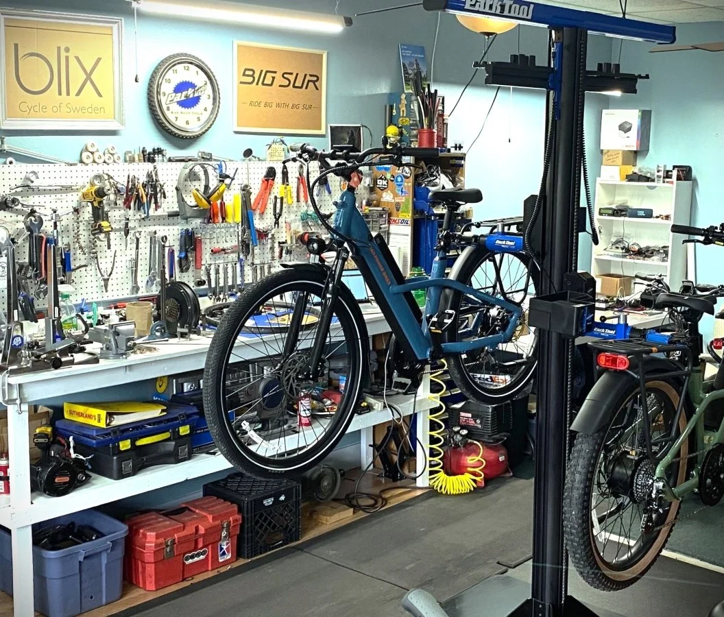 Specialists in Electric Assistive Technology, Electric Bicycle ...
