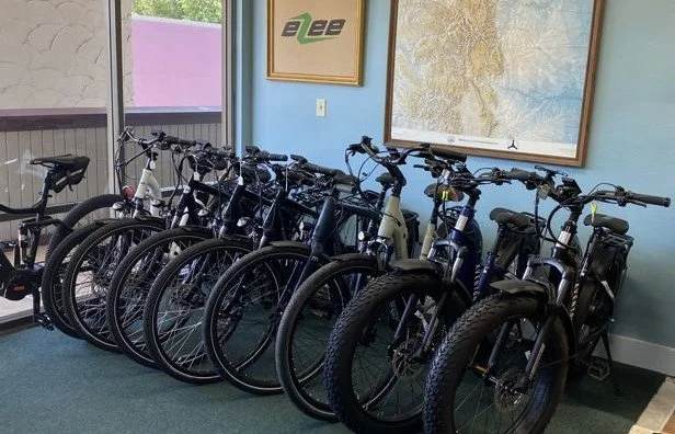 Specialists in Electric Assistive Technology, Electric Bicycle Conversions, repairs Electric ...