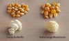 Best Mushroom Popcorn Kernels: Top Brands, Tips, and Recipes — Popcorn ...