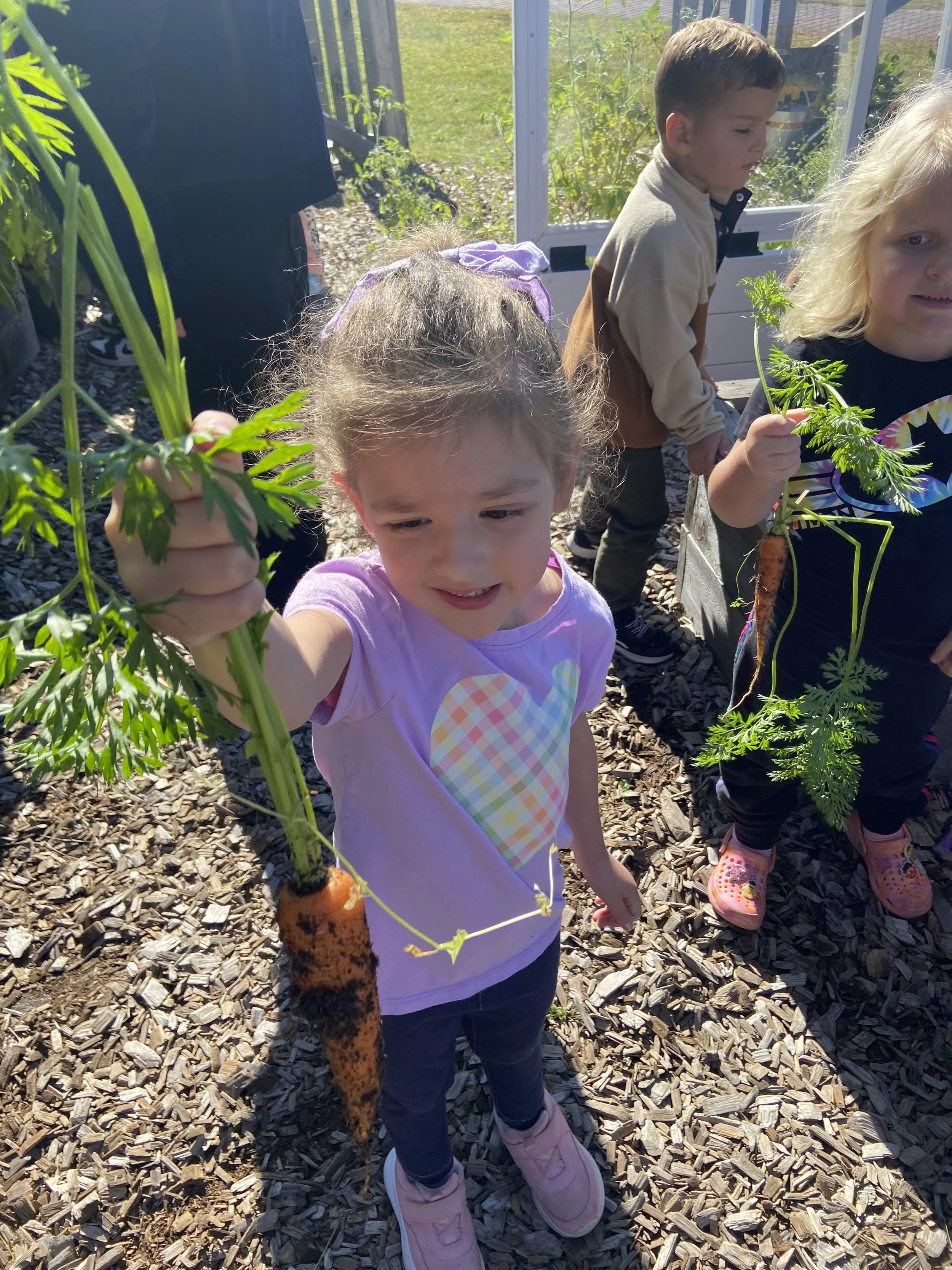 Catskill Edible Garden Project Grant | Sullivan 180