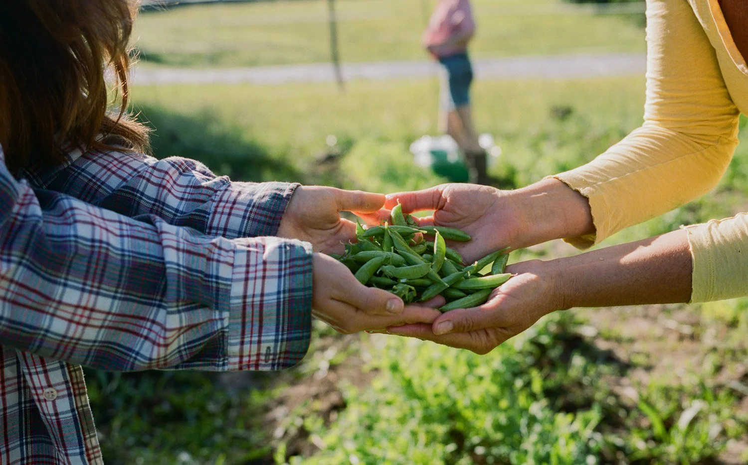 Sullivan County, NY Grants and Scholarships | Sullivan 180