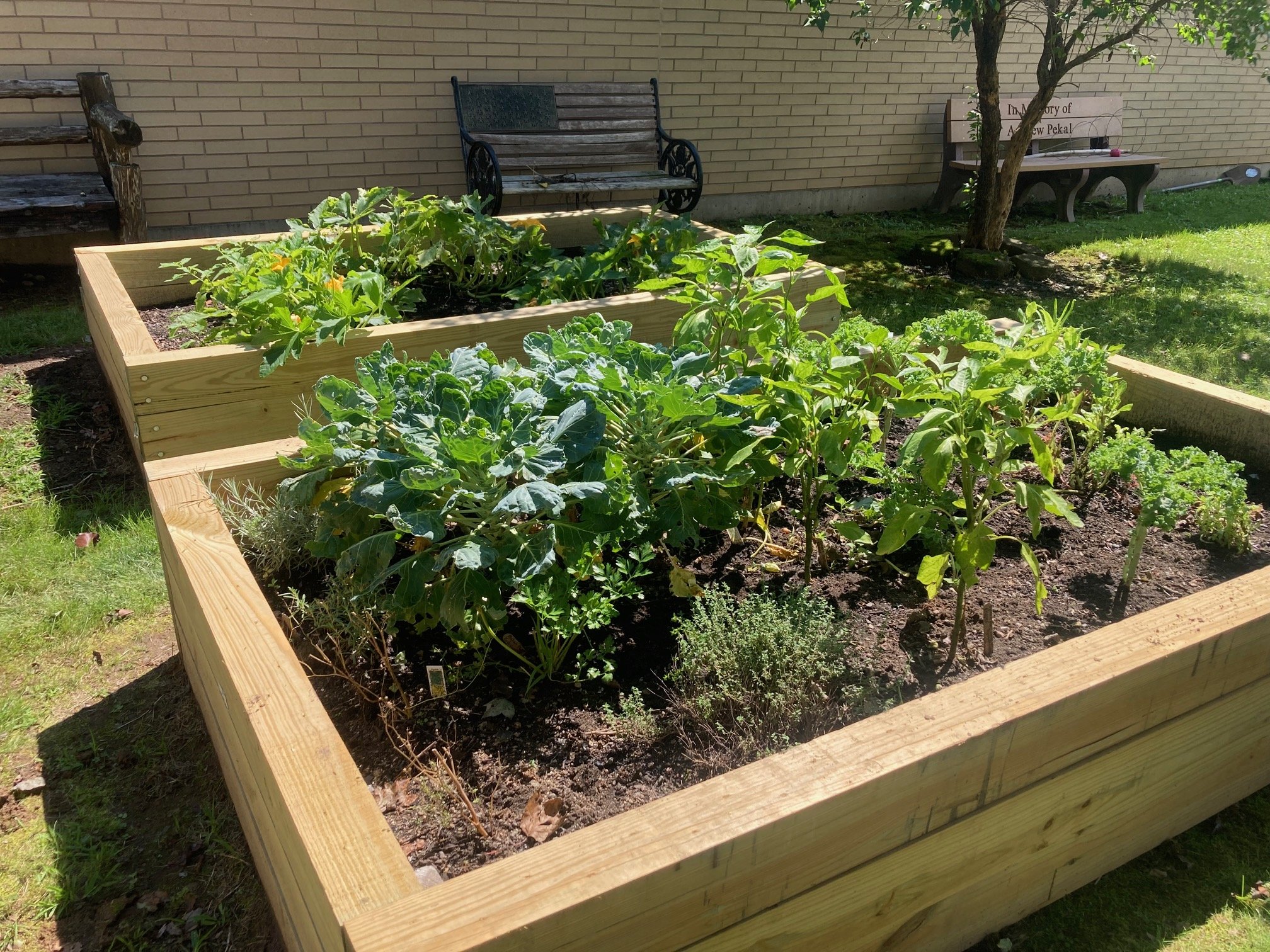 Sullivan 180 Awards Catskill Edible Garden Project Grants | Sullivan 180