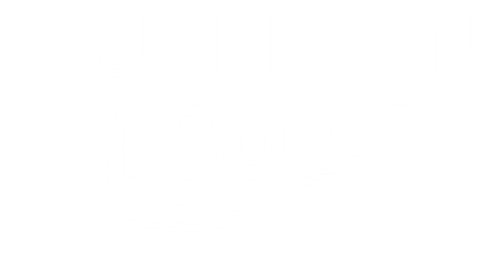 Sullivan County Youth participate in the 5th Annual Martin Luther King ...